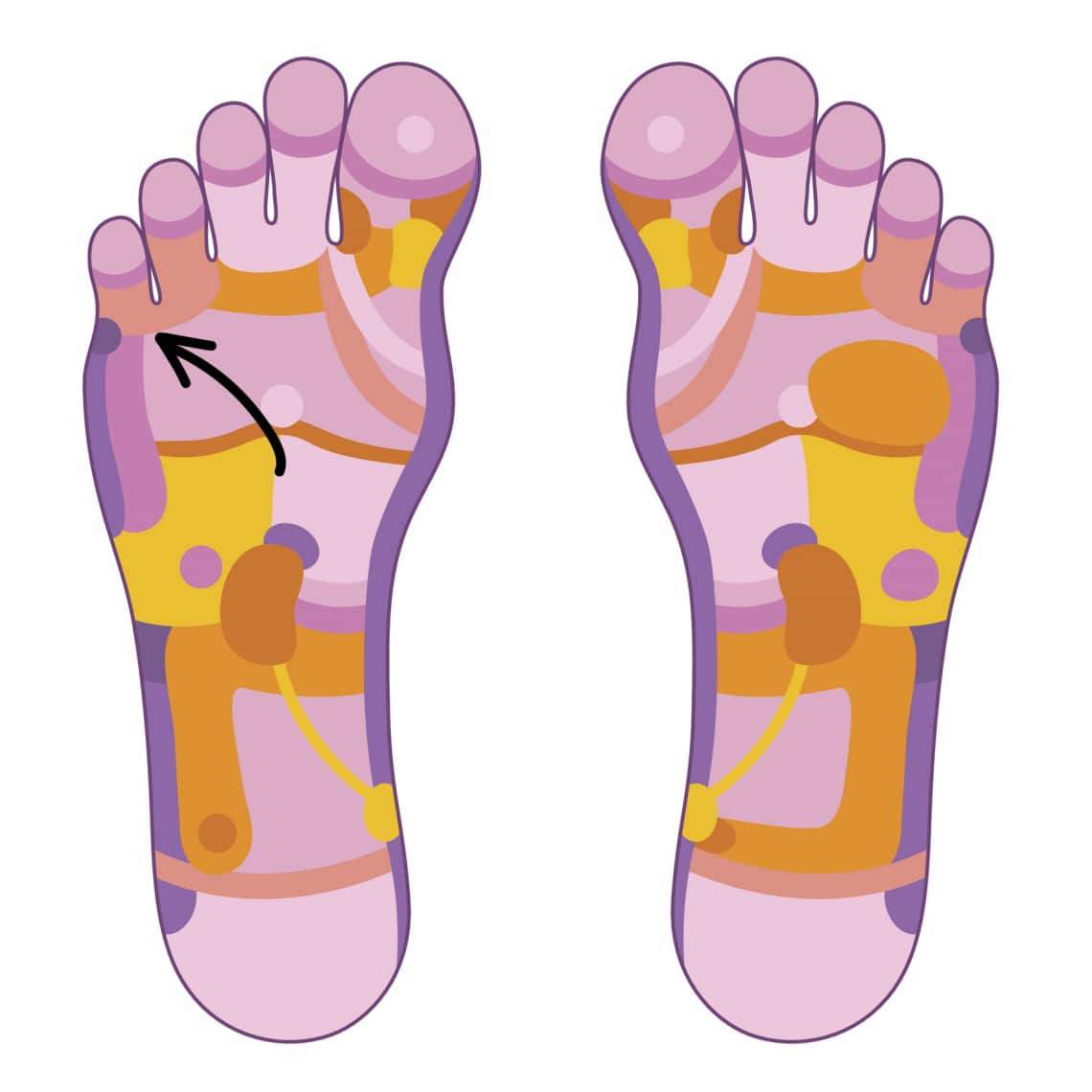 Reflexológia kezdőknek: így kapcsolódnak szerveid a talpadhoz