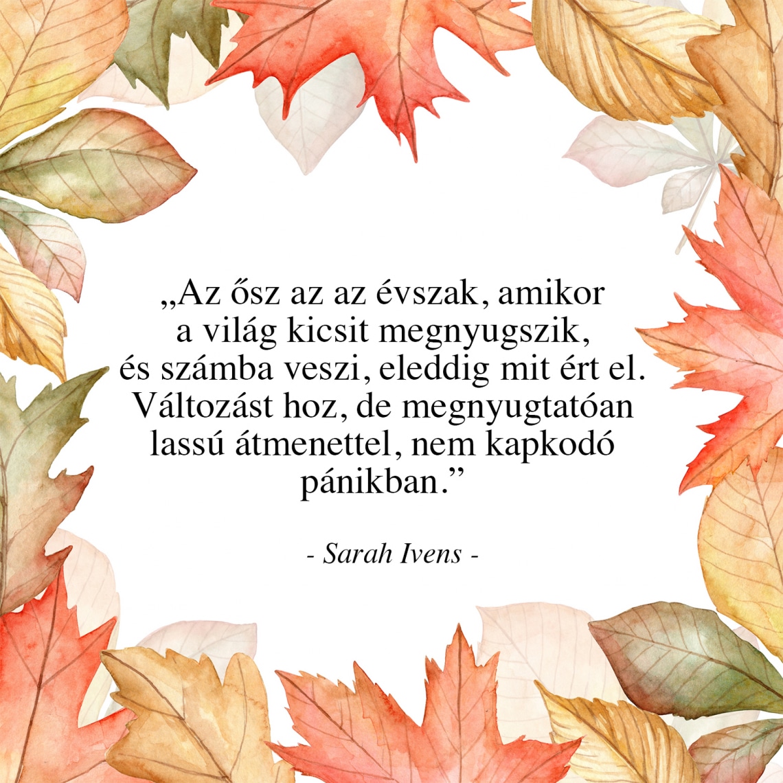 10+1 lélekmelengető őszi idézet, ami átadja az évszak hangulatát