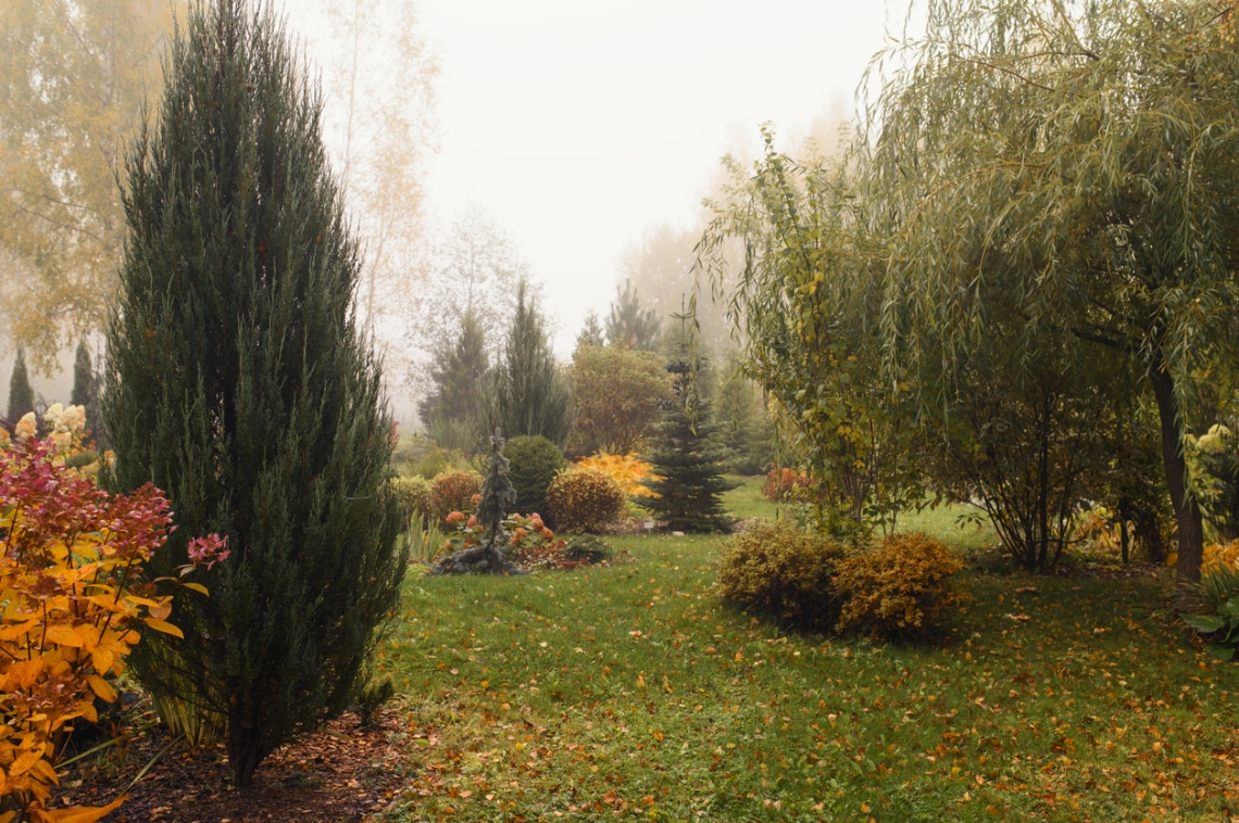7 őszi kerti teendő, amit ebben a hónapban jó elvégezni